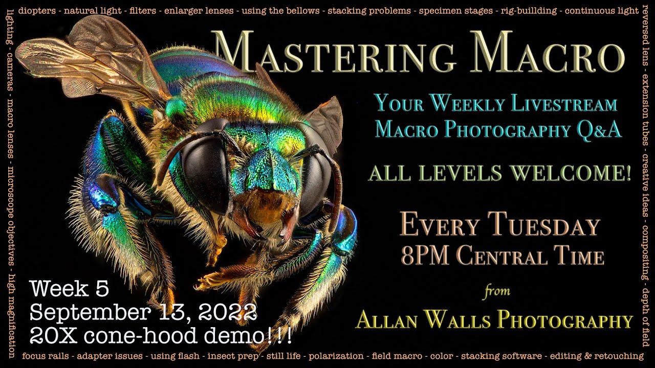 Mastering Macro Photography - Week 5 - 9/13/22 - YouTube