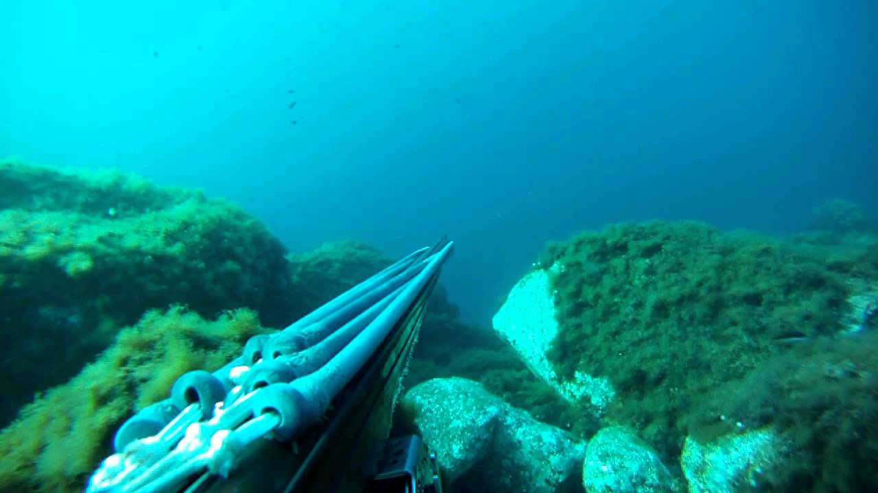 ψαροντουφεκο 2014 Συναγριδες - YouTube