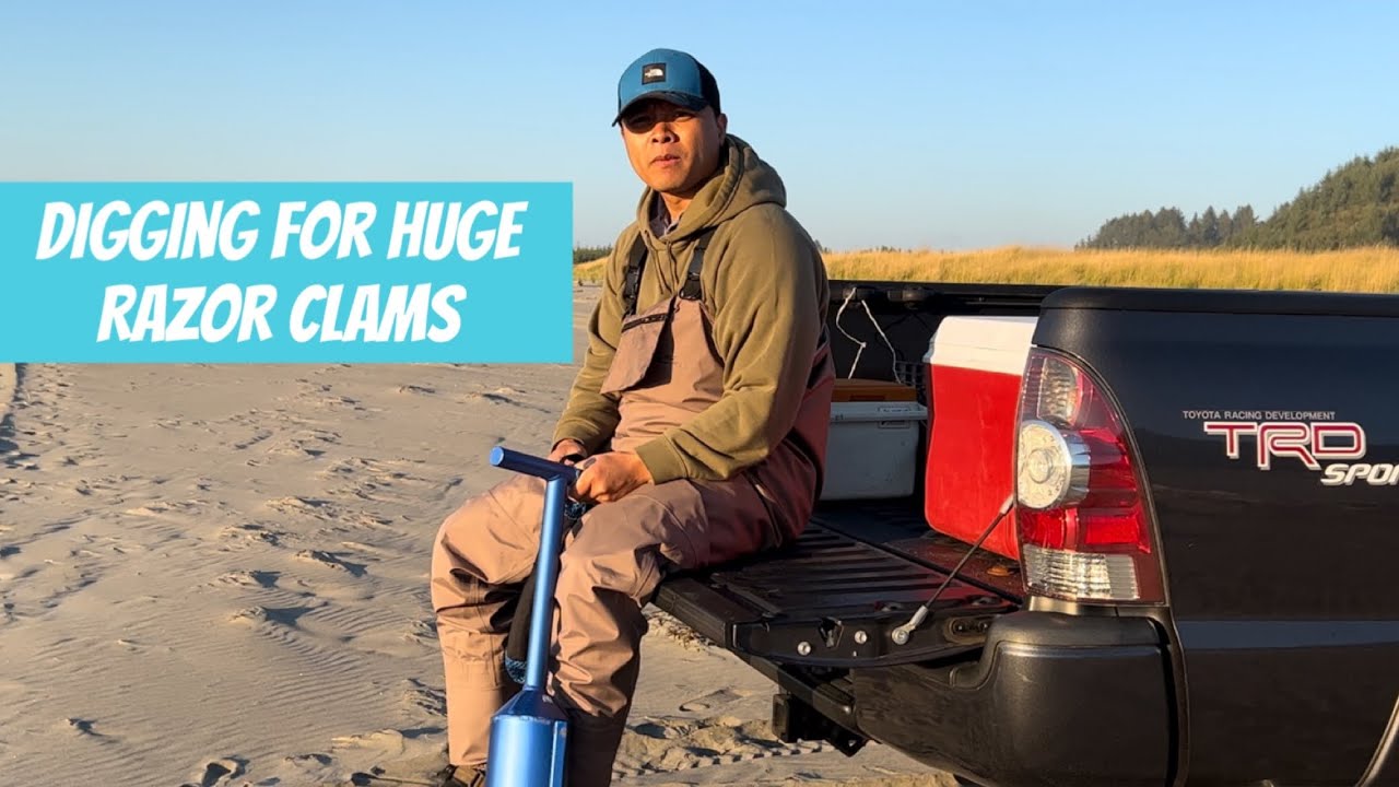 Razor Clam Digging for Big Clams - YouTube