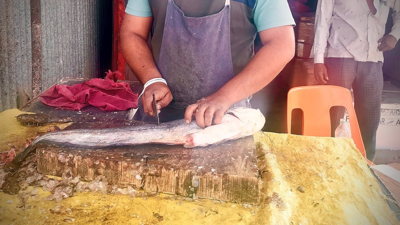 River Fresh Water Big Boal Fish Video!! Amazing Fish Cutting Video By ...