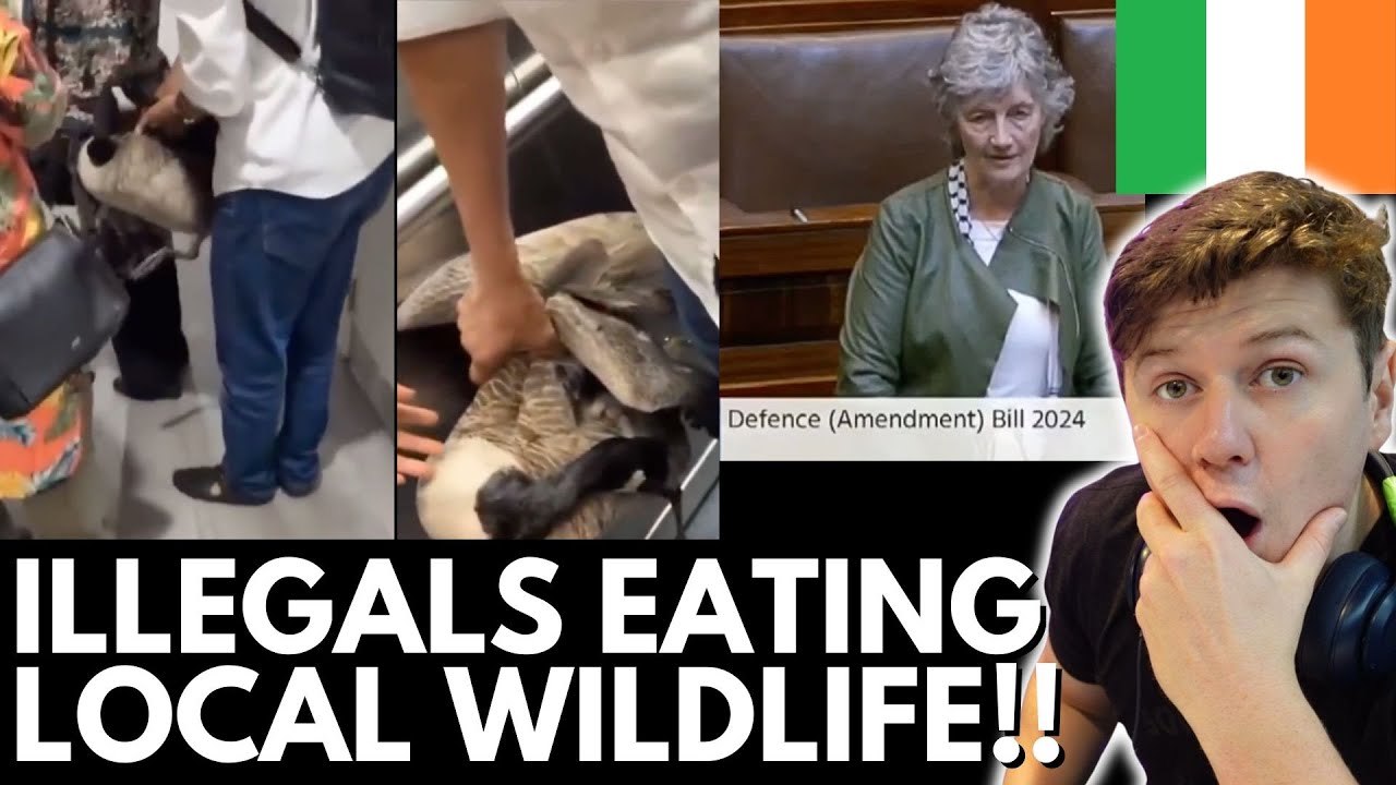 Illegal Migrants Eating SWANS & DUCKS From Irish Parks - YouTube