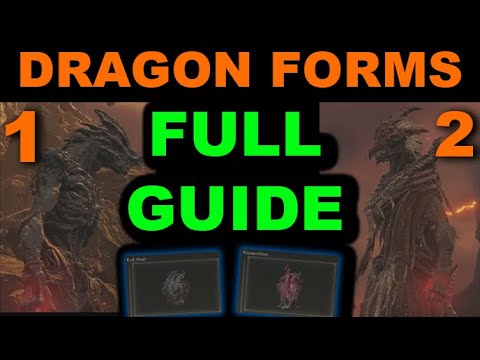 2 DRAGON TRANSFORMATIONS !! transform in to 2 different dragons with ...