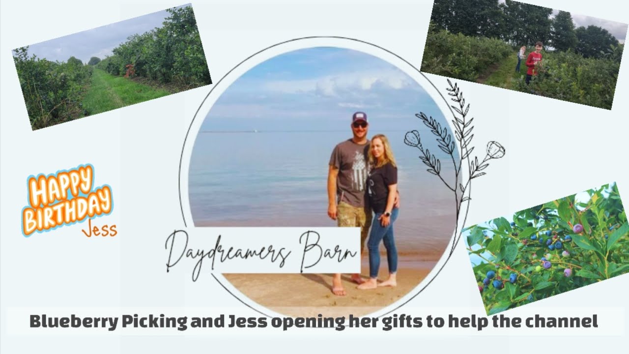 Americans - Enjoy a UK Blueberry Farm / Jess Opens Gifts - YouTube