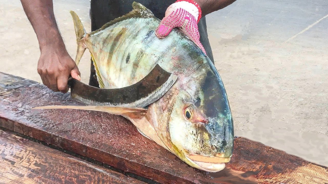 Giant Trevally Fish Filleting skills |Trevally Fish Fillet | Fish ...