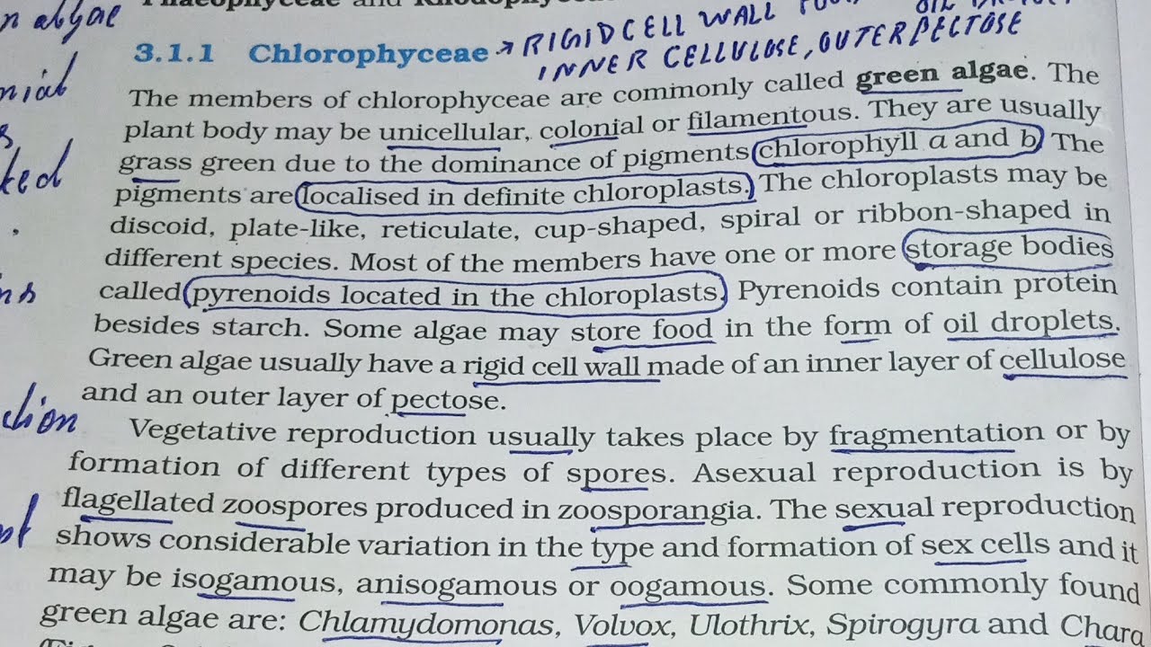 Ncert line by line 2 minute revision.NEET 2023 short REVISION. topic ...