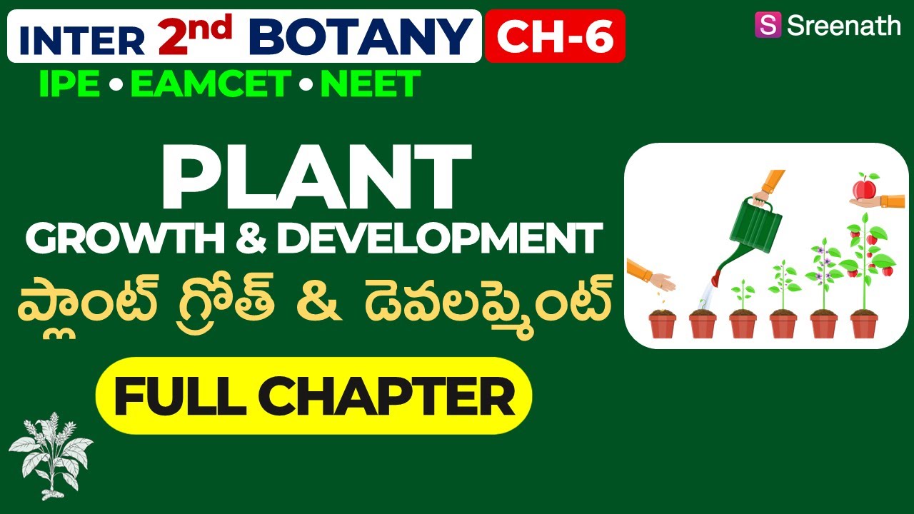 Plant Growth and Development: Full Chapter in తెలుగు | TS/AP Inter 2nd Year Botany | Chapter 6 ...