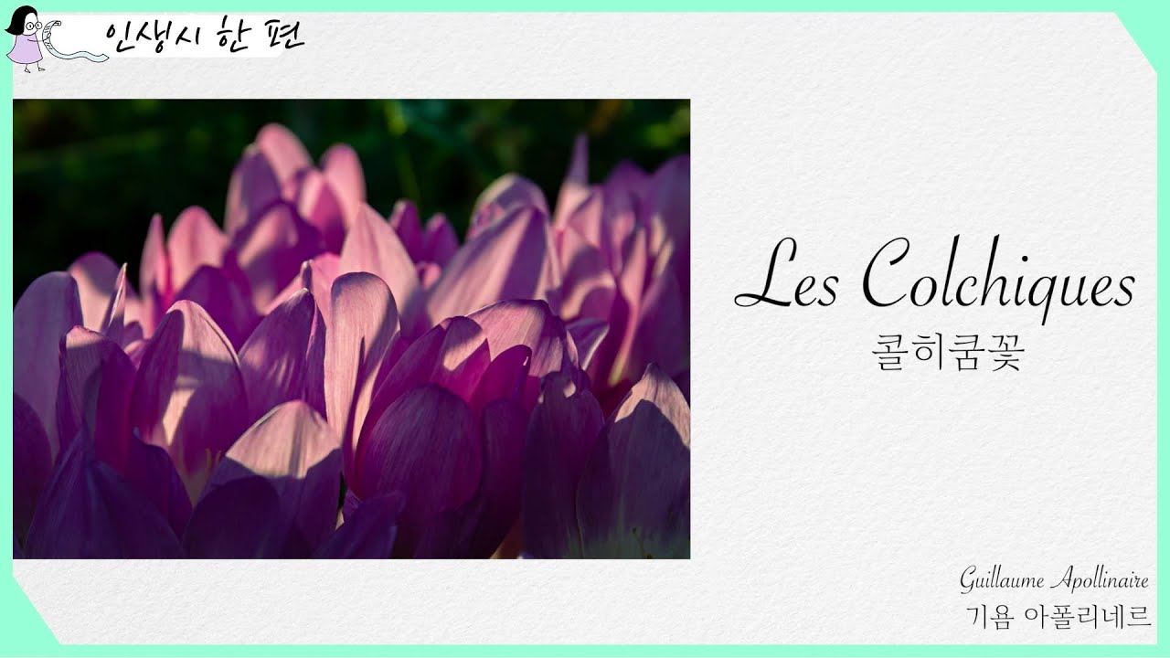 [시낭송] 콜히쿰꽃(Les Colchiques) - Guillaume Apollinaire [인생 시 한 편] EP.25 ...