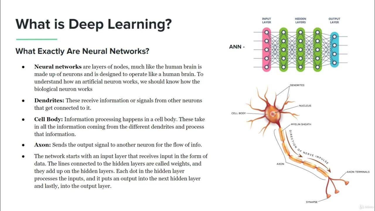 Lecture 5: What is Deep Learning? | Neural Networks Explained | Tech ...