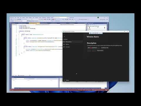 WinUI3 C# AppWindow Sample Demo - YouTube
