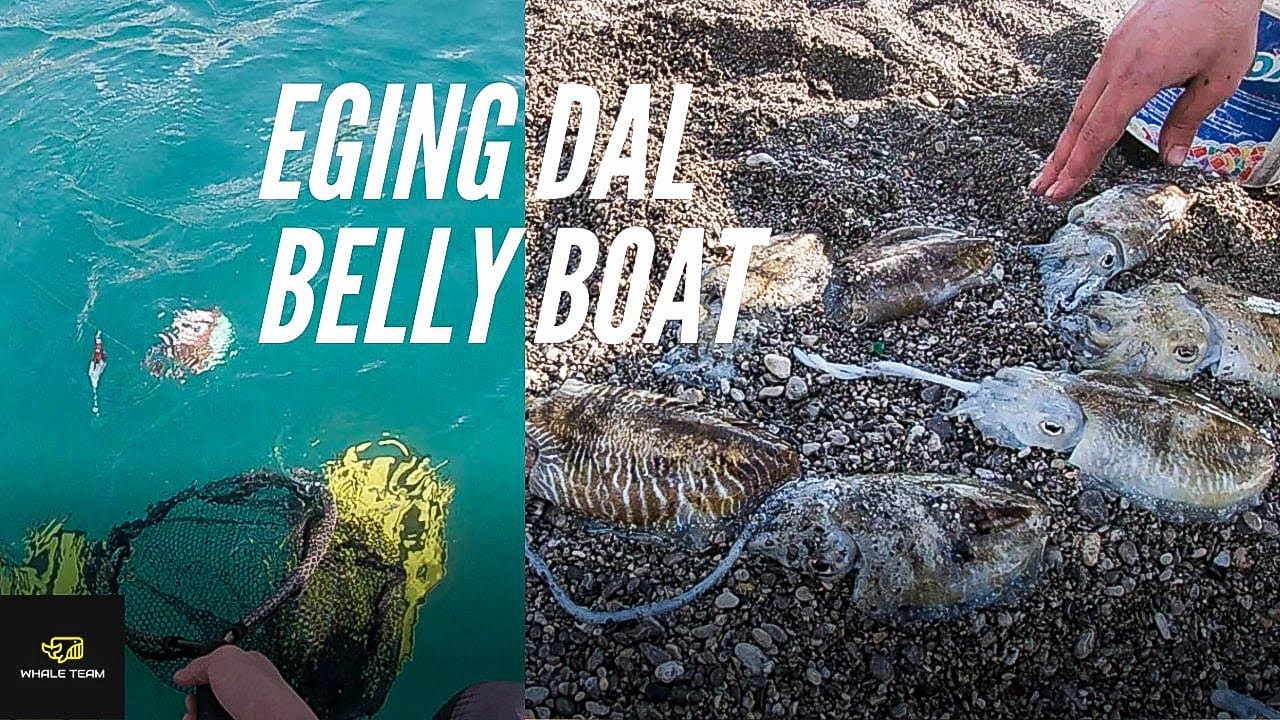 Eging dal belly boat-WHALE TEAM - YouTube