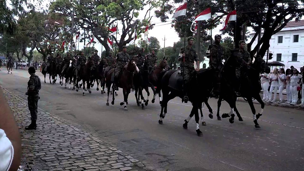 Desfile Cívico - Cavalaria Montada do Exército! - YouTube