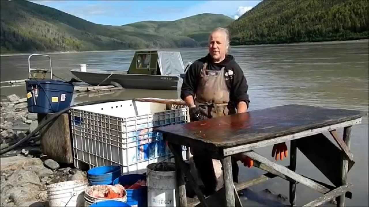 Salmon Management Disgrace No1 Youtube 720p - YouTube