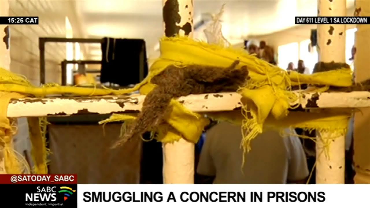 Correctional Services Department concerned about smuggling of Illegal ...