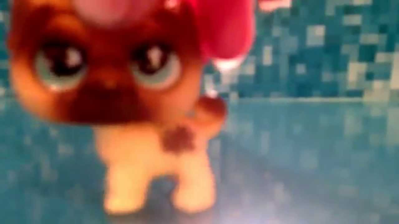 Lps dog - YouTube