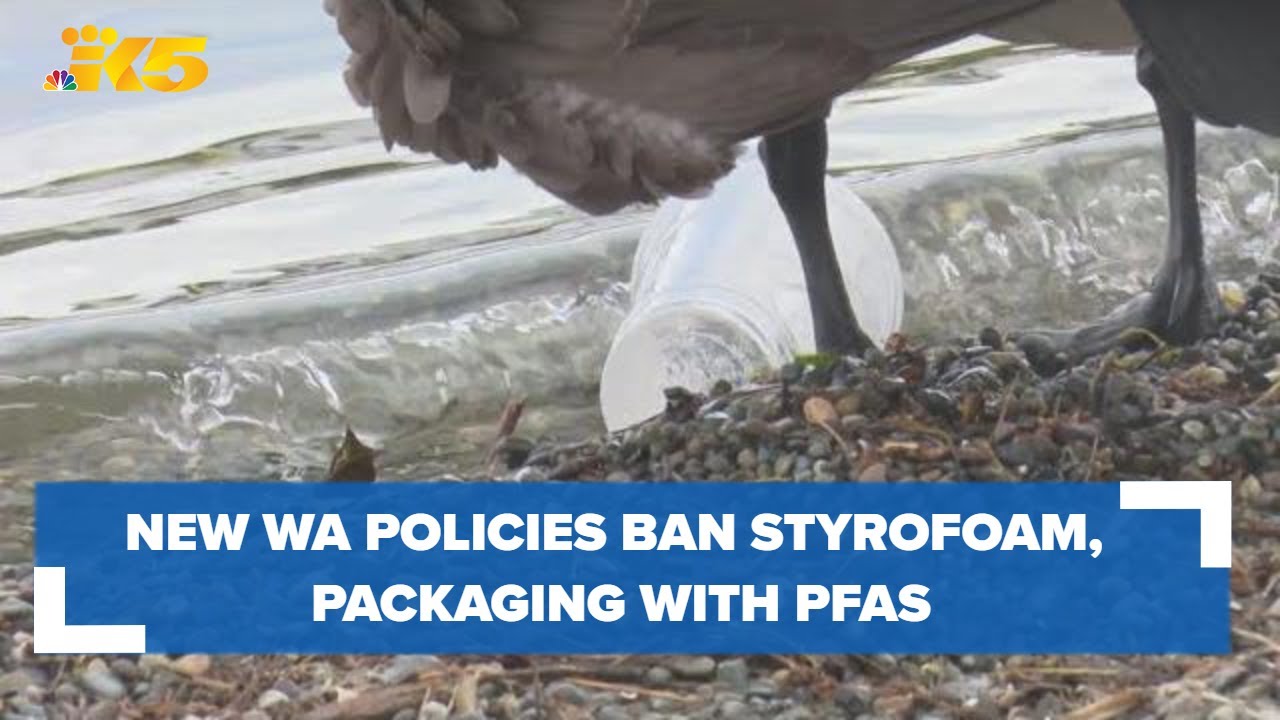 New Washington policies ban Styrofoam, packaging with PFAS chemicals ...