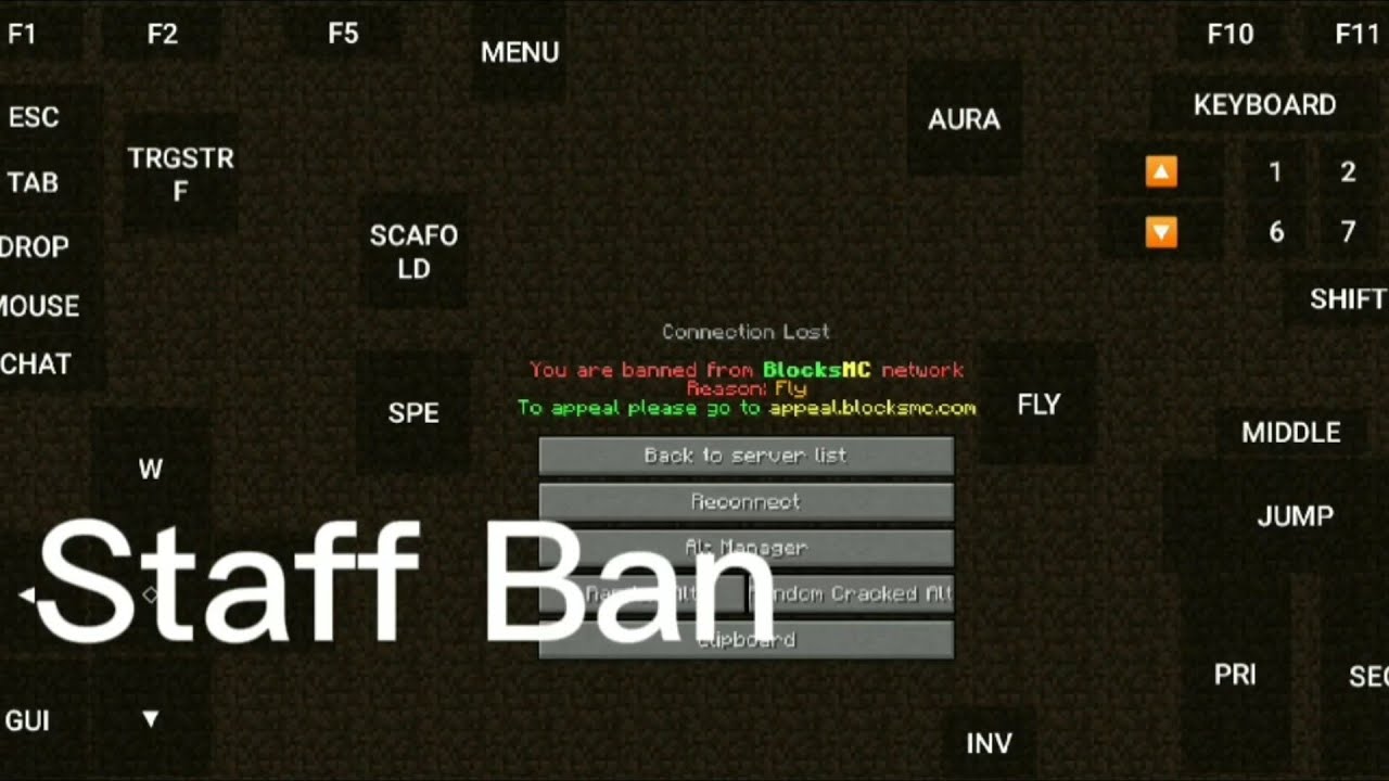 Blocksmc Staff Ban Speedrun world record!!! Free New Lime Client ...