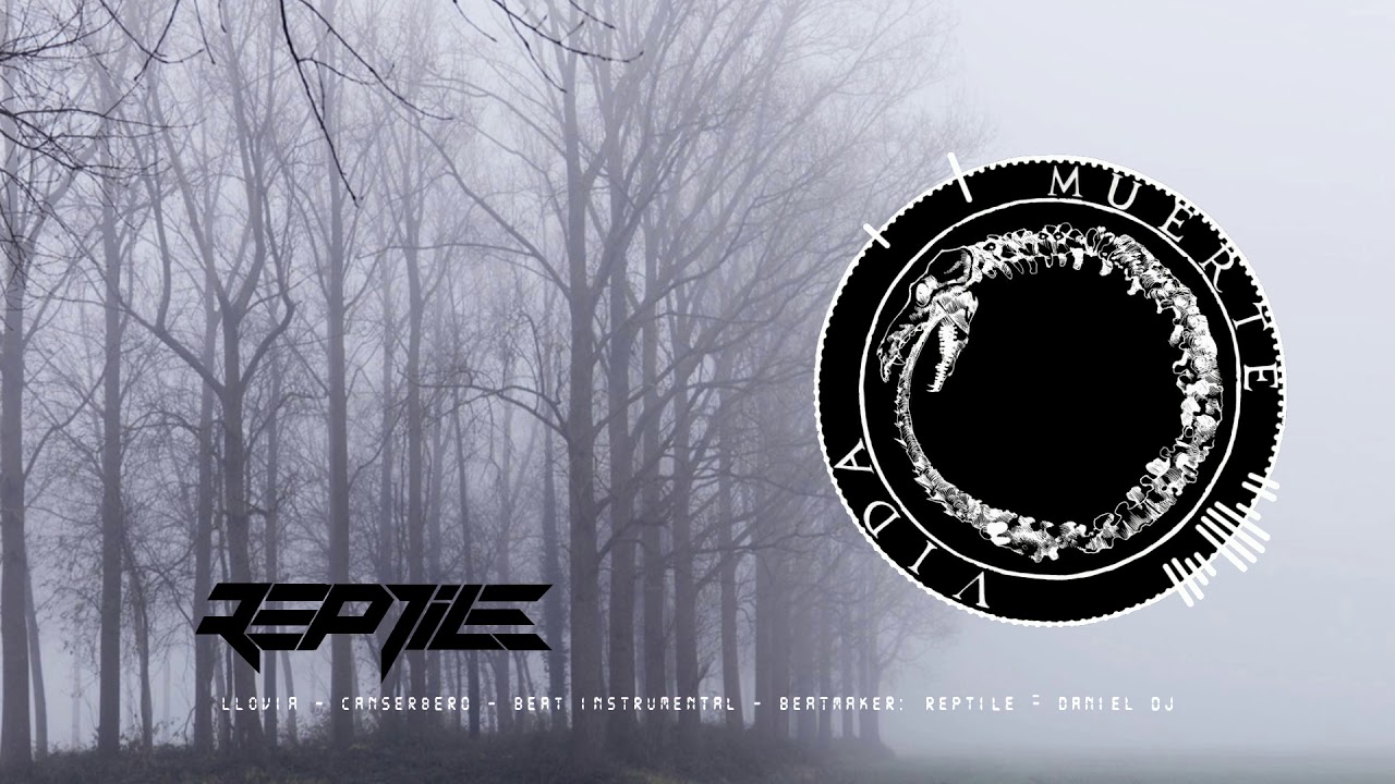 LLOVIA - CANSERBERO INSTRUMENTAL - BEATMAKER - REPTILE - YouTube