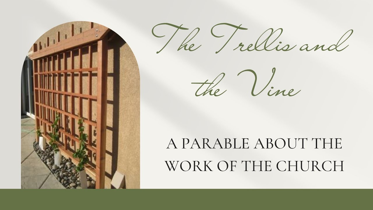 The Trellis and the Vine - YouTube
