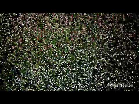 Roswell New Mexico Football @ the Wool-bowl. - YouTube