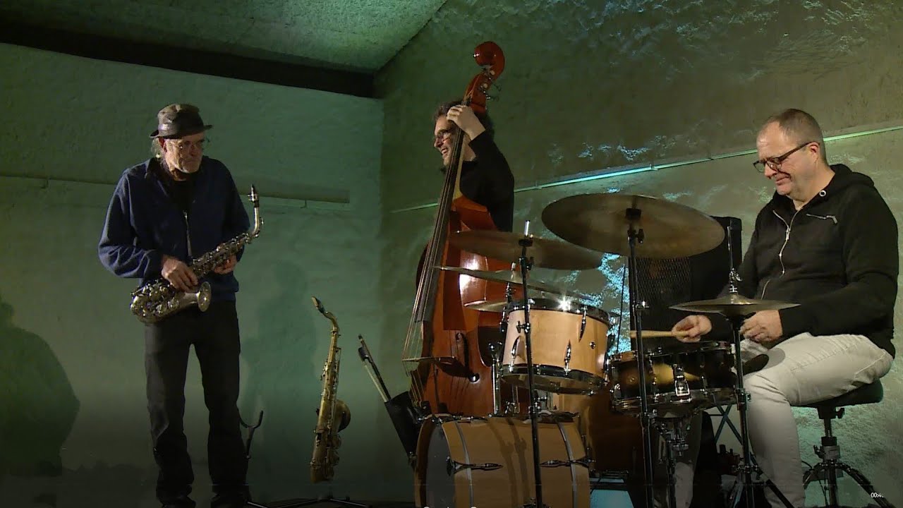 Fisch im Trio "Tom" Bird`s Eye Jazz Club : Donat Fisch sax, Bänz Oester ...