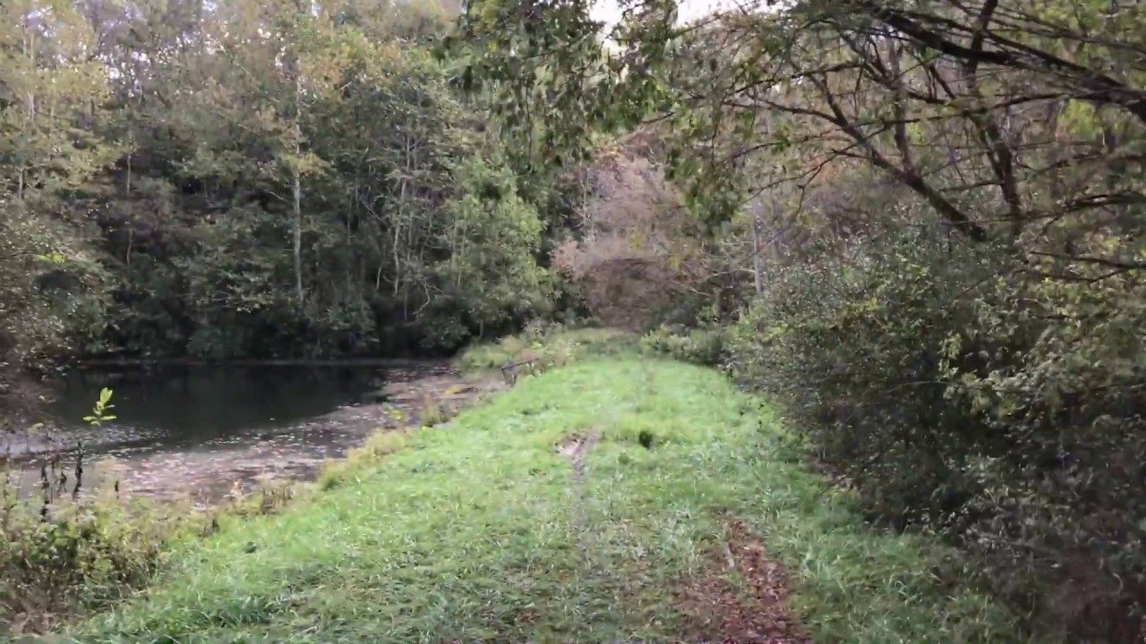 Secret Fishing Pond Ohio power AEP Campground - YouTube