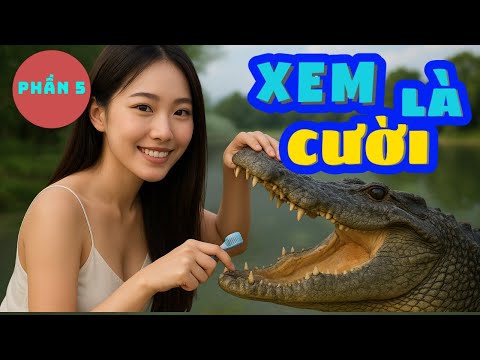 XEM LÀ CƯỜI 🤣 TỔNG HỢP VIDEO A.I HÀI HƯỚC (P5) | VIDEO AI HÀI HƯỚC #aihaihuoc  #haihuoc #ai #veo3
