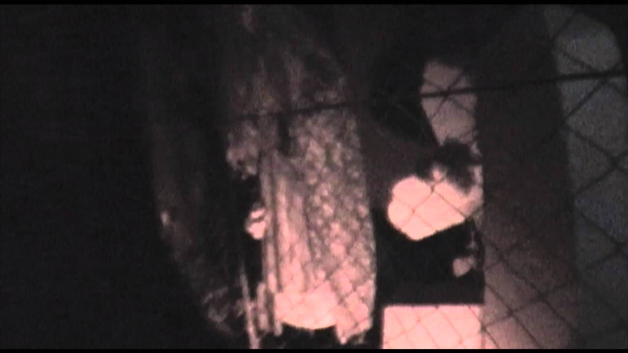 Hanayashiki Ghost Train Dark Ride Amusement Park Attraction Tokyo Japan ...