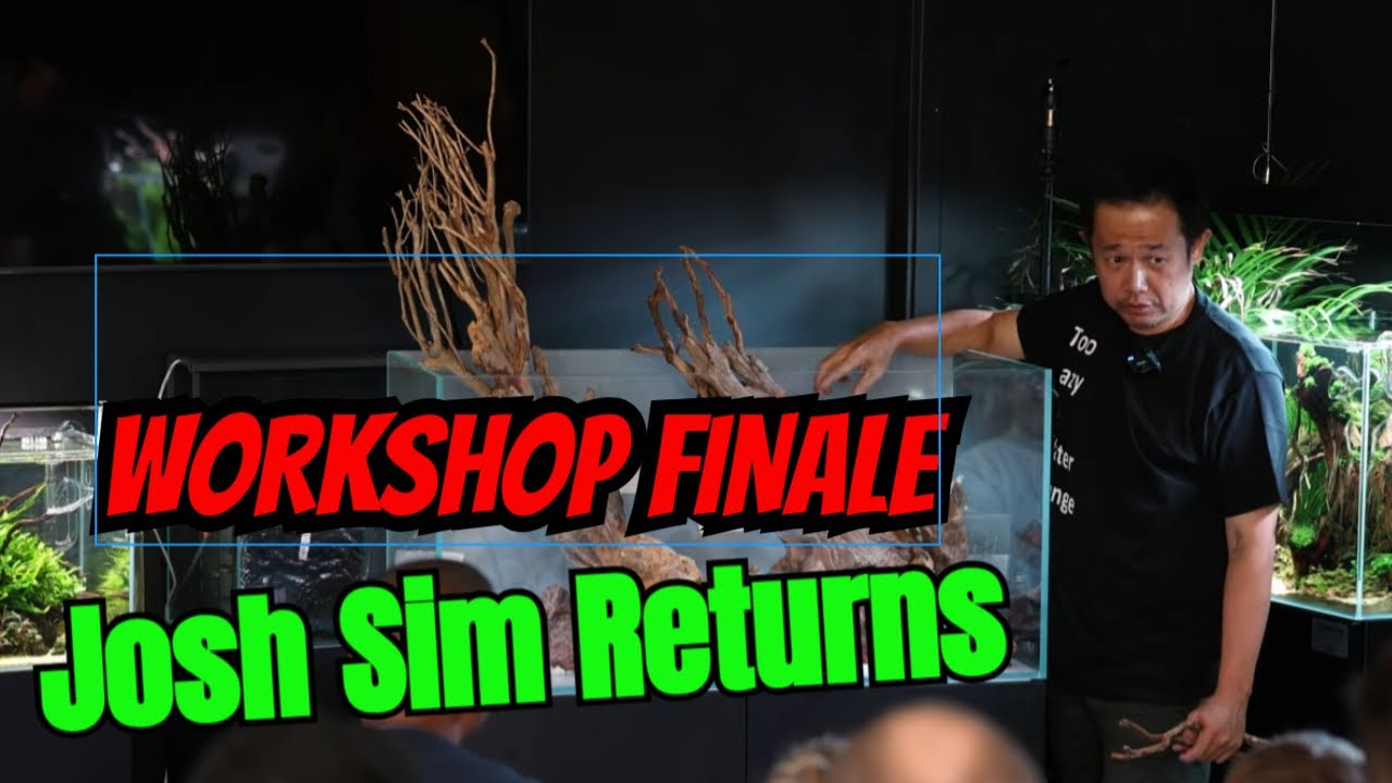 Josh Sim's PROVEN Planting Workshop for AMAZING Results! - YouTube