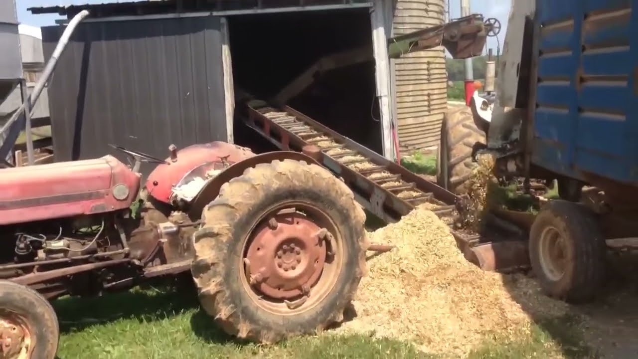 Harvesting and Feeding Good Early-Chopped Corn Silage - Early Corn ...