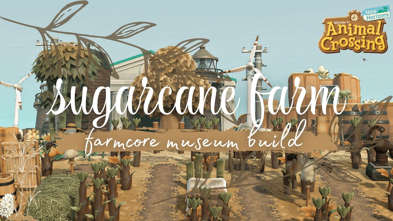 How To Get Sugar Cane Animal Crossing at Spencer Ebert blog