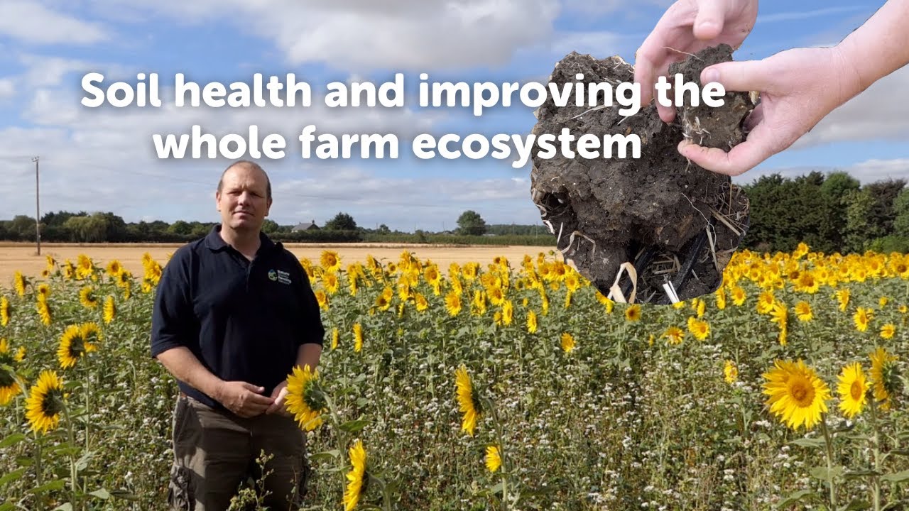 Soil health and improving the whole farm ecosystem with arable farmer ...