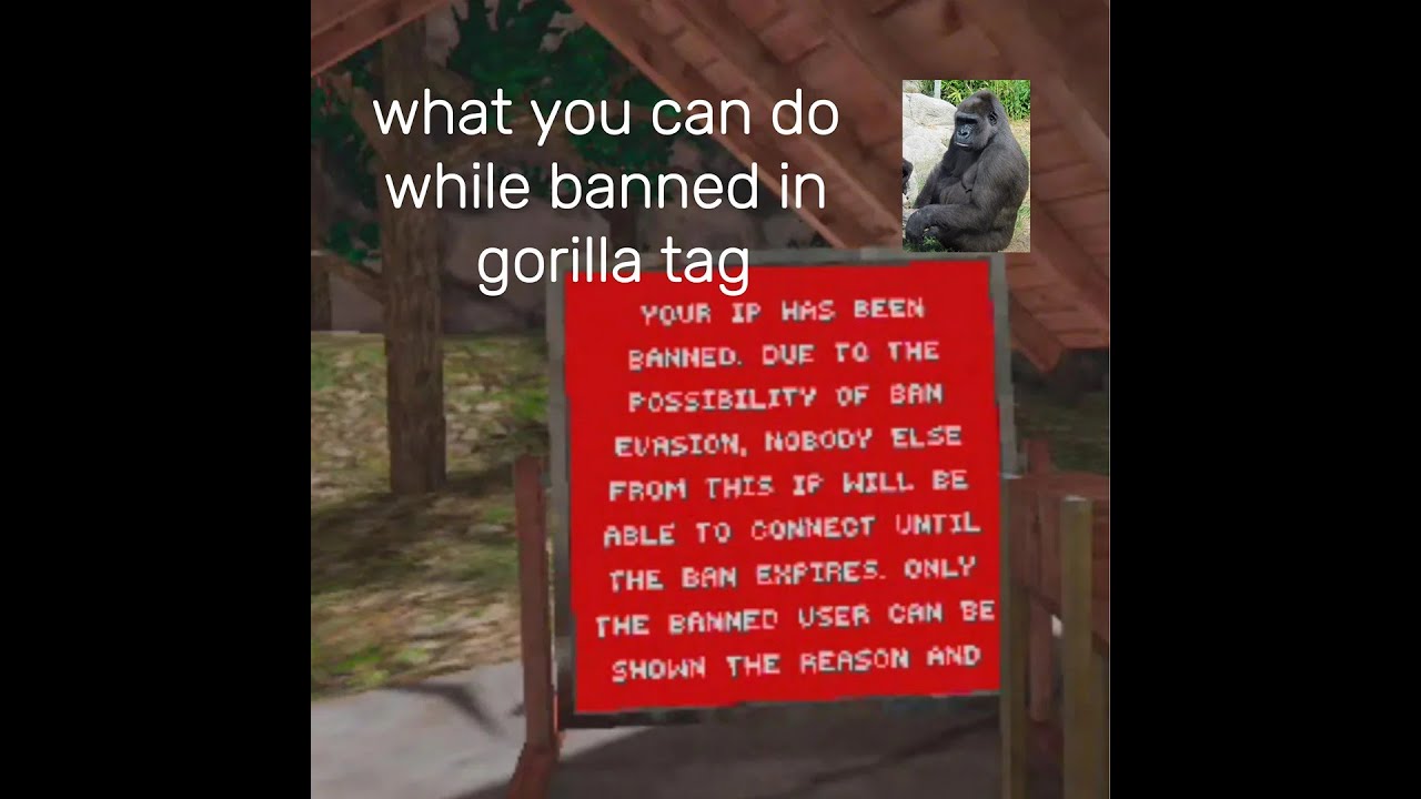 what you can do while banned in gorilla tag - YouTube