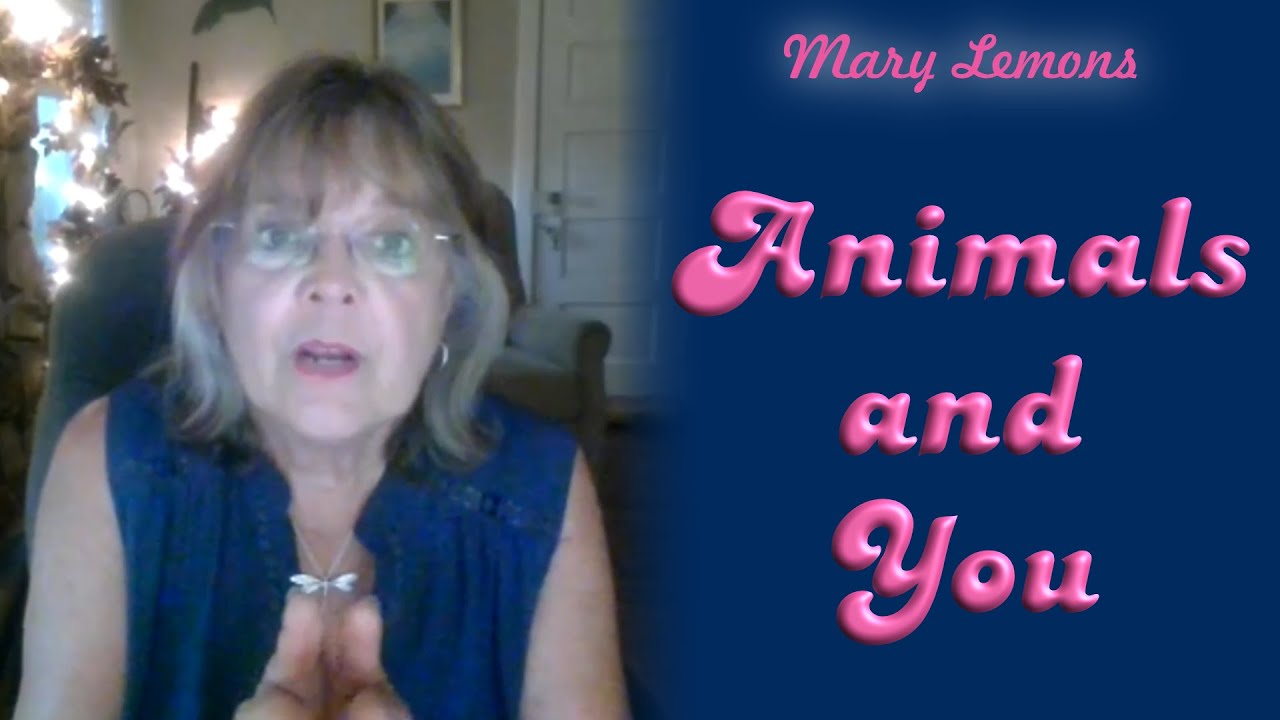 Mary Lemons - Animals and You - YouTube