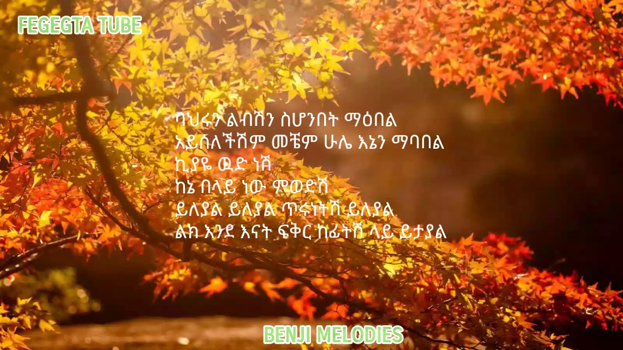 Mikiyas Cherinet_kiya_(Lyric_Video) - YouTube
