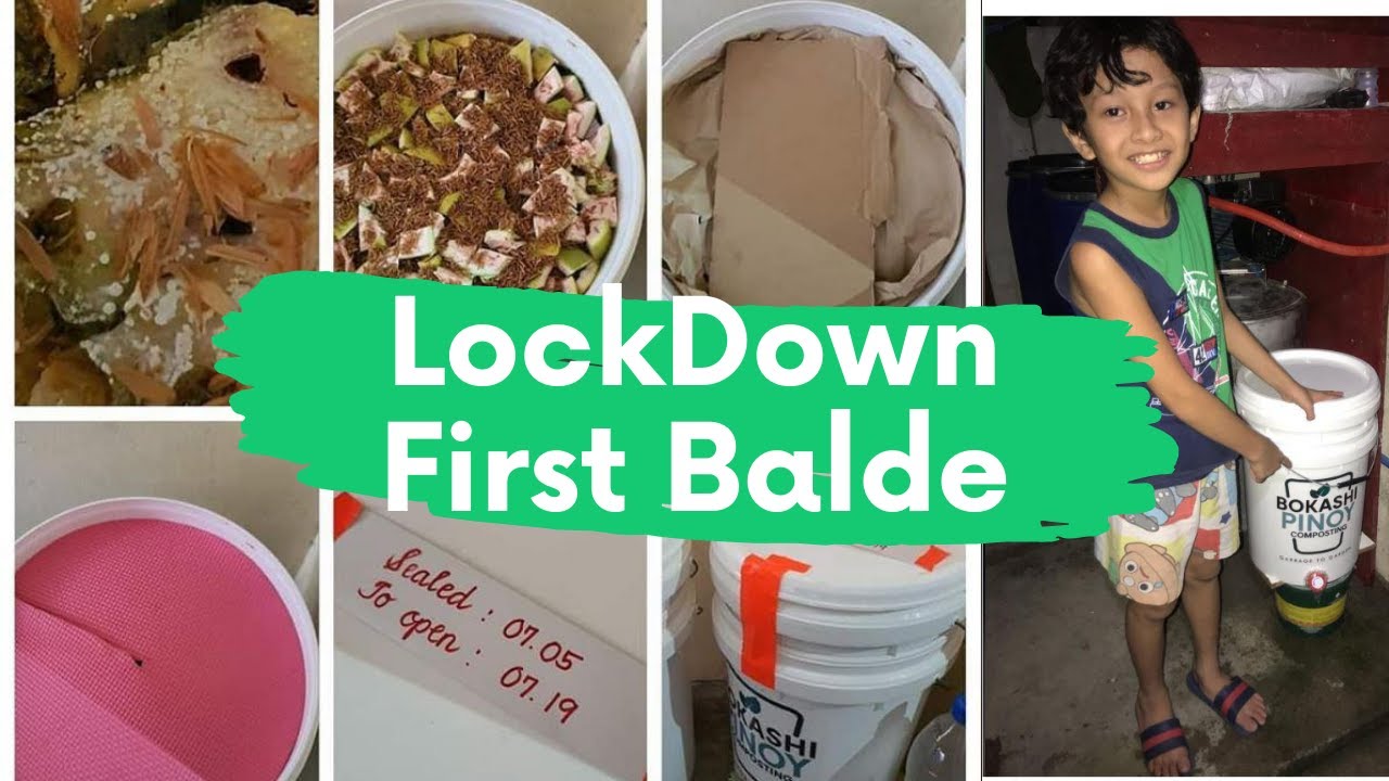 How to Seal your First Balde for Stage 2 Fermentation - YouTube