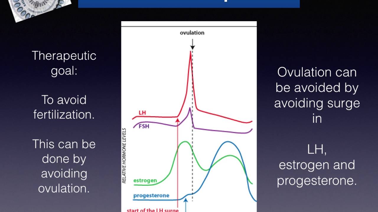 FEMALE REPR TREATMENT CS14-M2-S2-U4 - YouTube