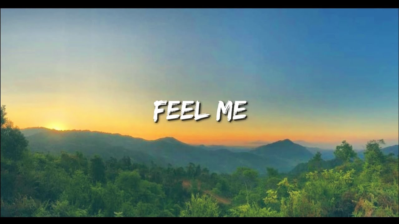 Selena Gomez - Feel Me(Lyrics) - YouTube
