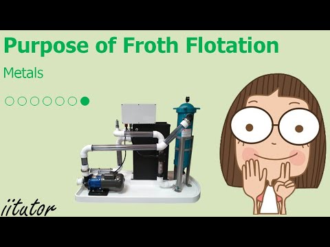 💯 Describe the purpose of froth flotation and explain how it works ...