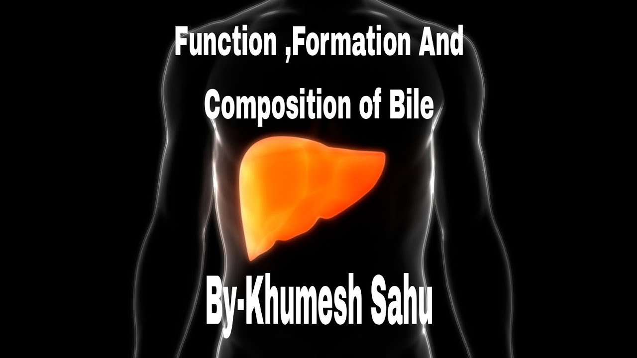 Composition , Formation and Function of Bile . - YouTube