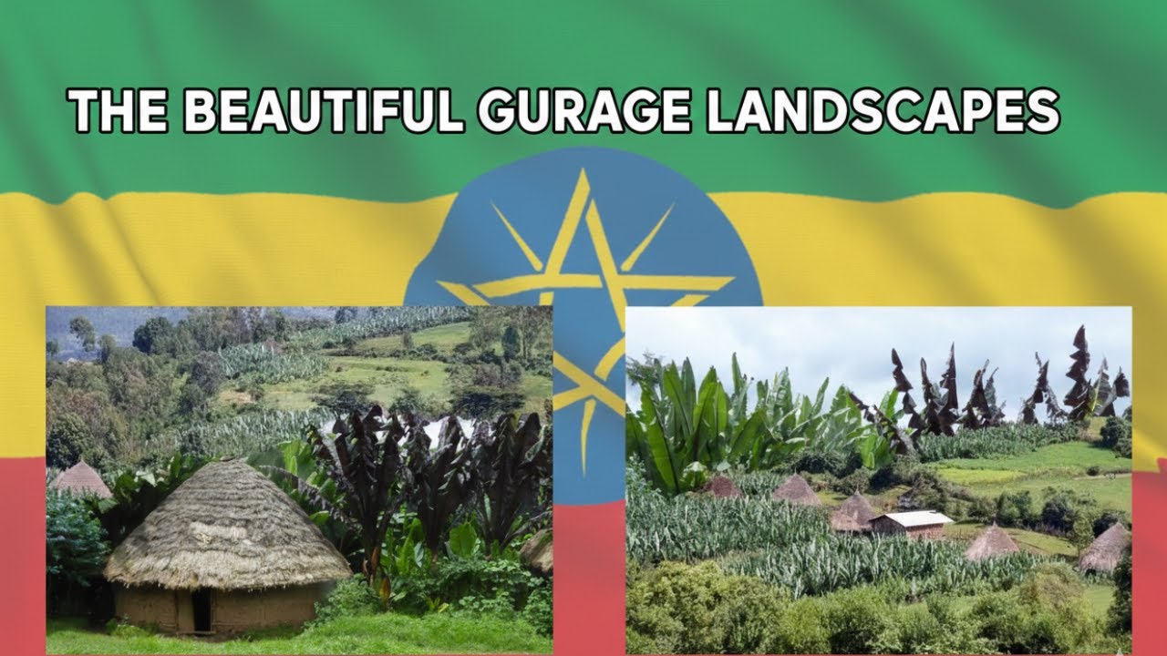 🌿 **Discover the Beauty of Gurage Zone | Rural Ethiopia** 🇪🇹 - YouTube