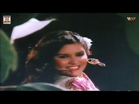 CHARHDA TOOFAN Film Song | Lollywood Film Songs | Lollywood Classic Songs