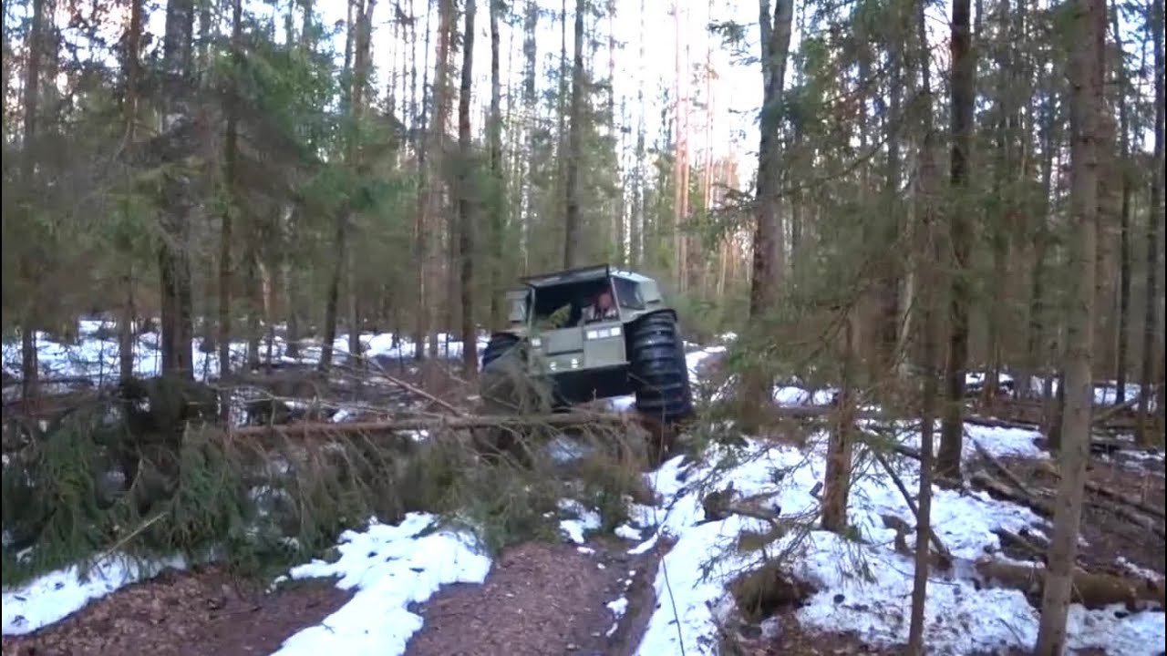 Our MOST INTENSE Forest Race w/ Sherp - YouTube