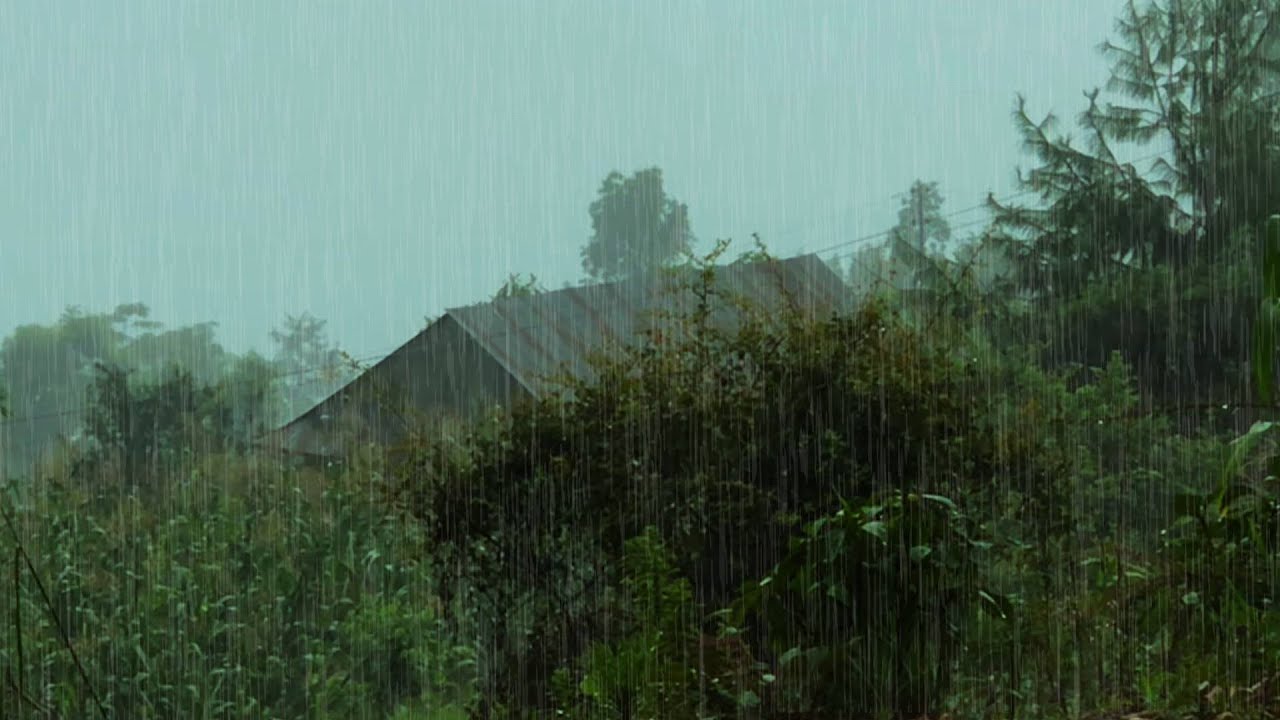 Heavy Rainstorm Sounds For Deep Sleep and Relaxation | Nature White Noise | 10 Hours - YouTube