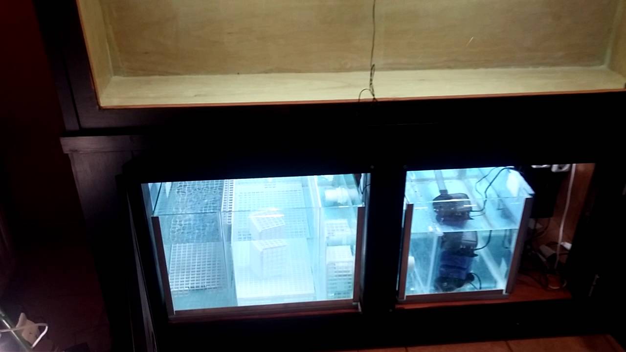 Diy plywood aquarium first start!! - YouTube