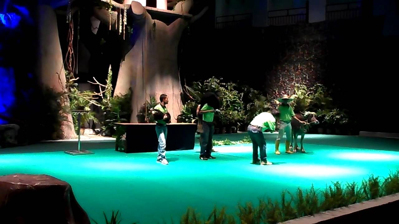 Animal Show during the Night Jungle Outings in Bukit Gambang Safari ...