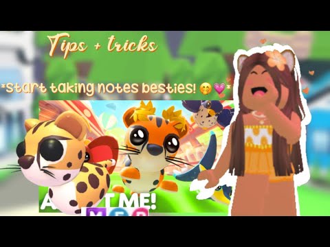 HOW TO GET MEGA CHEETAH FAST! 🐯⚡️ | Sunshine games tips and tricks ...