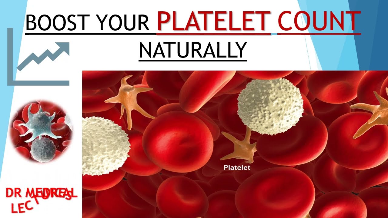 Boost Your Platelet Count Naturally II How to increase Platelets by ...
