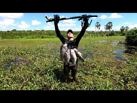 Pesca sub! Quebrando todas as regras do medo no mergulho essa eu quero ...