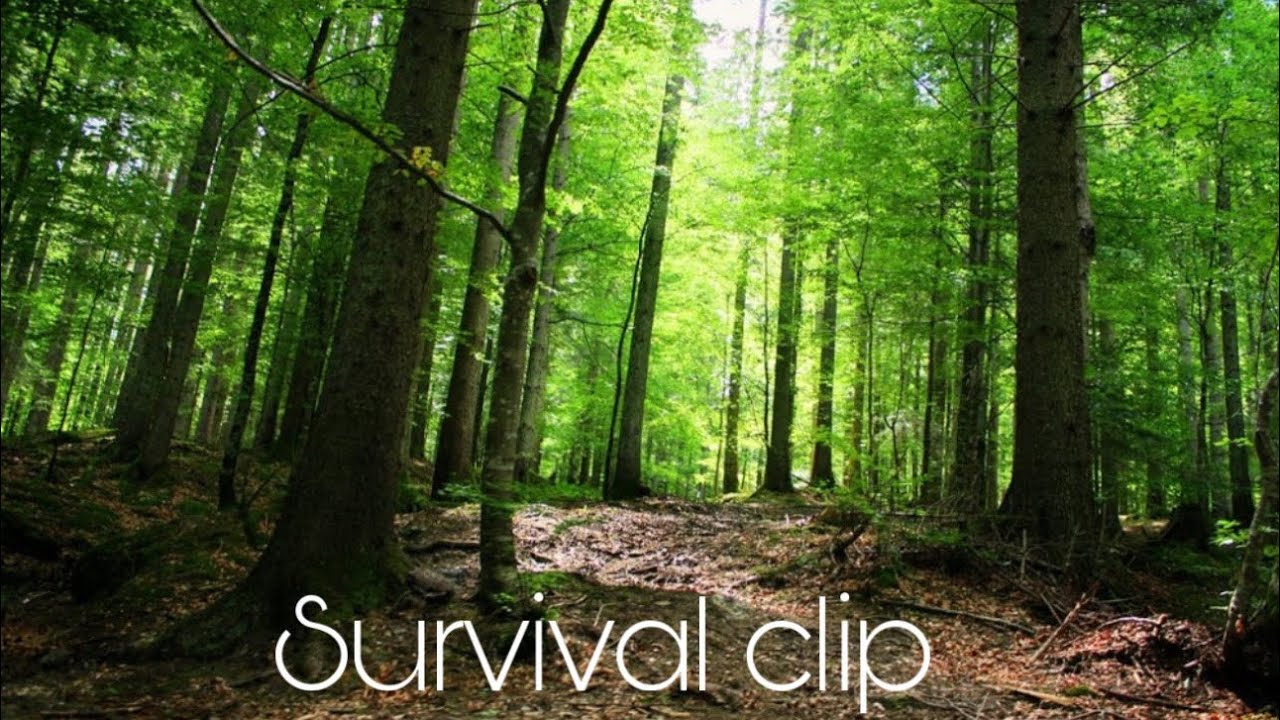 Mini survival clip в гора - YouTube