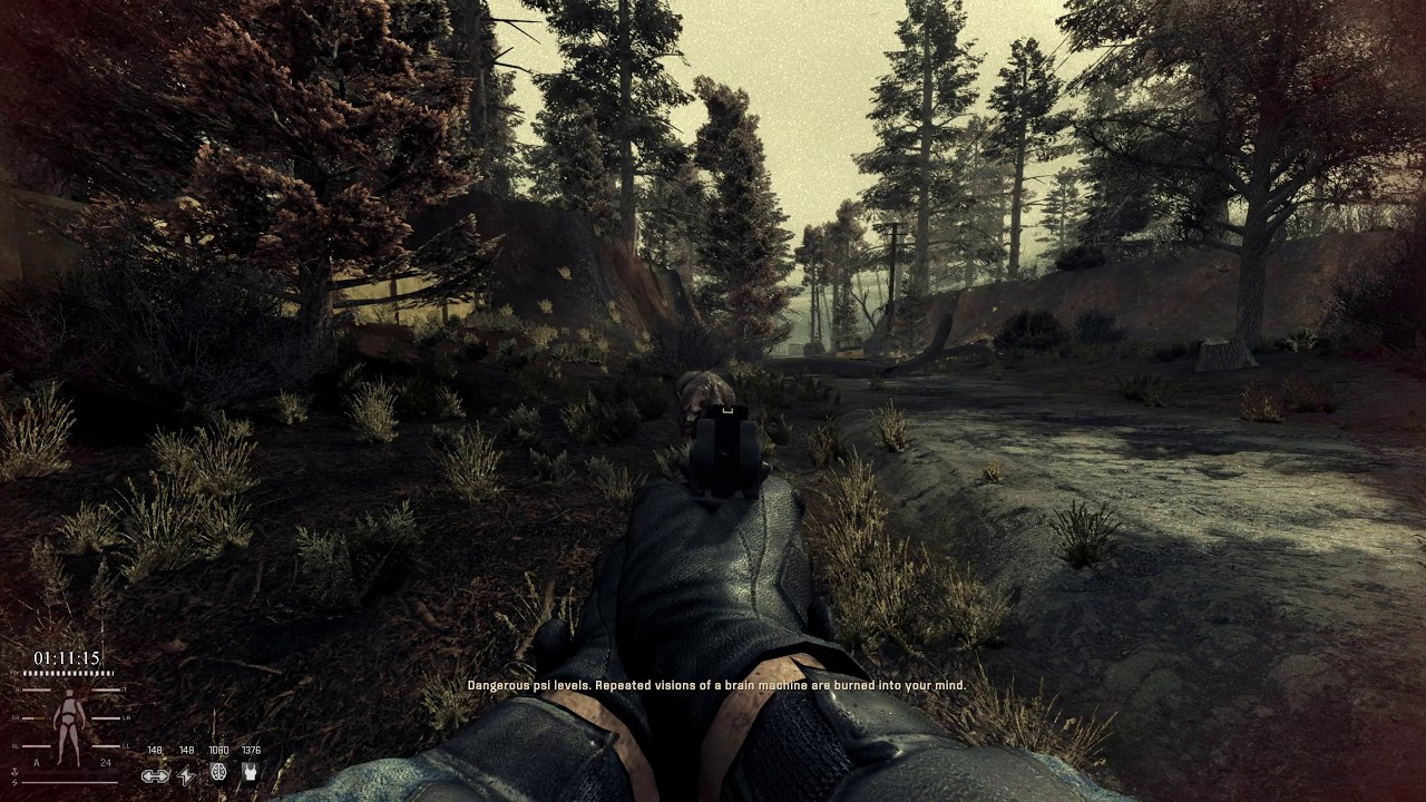 Hectic Red Forest | S.T.A.L.K.E.R. GAMMA - YouTube